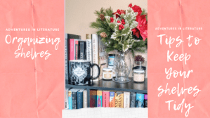 Organizing Shelves: Tips to Keep Your Shelves Tidy – Adventures in ...