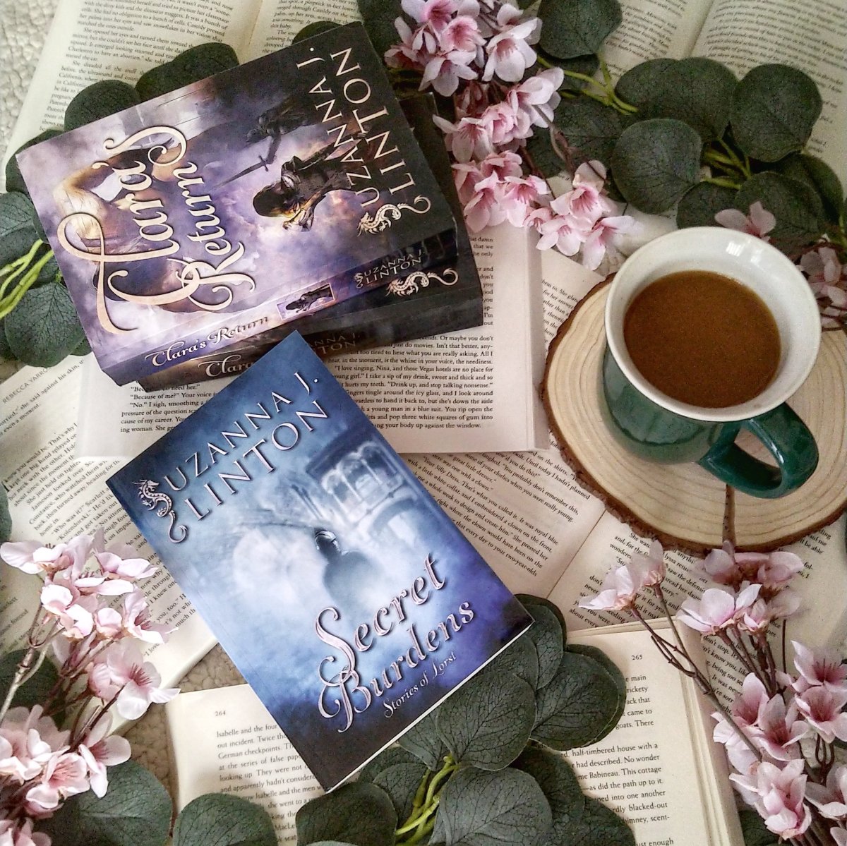 Secret Burdens by Suzanna J. Linton – Adventures in Literature